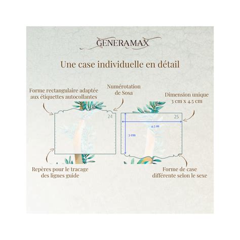 Generamax Arbre Généalogique Vierge