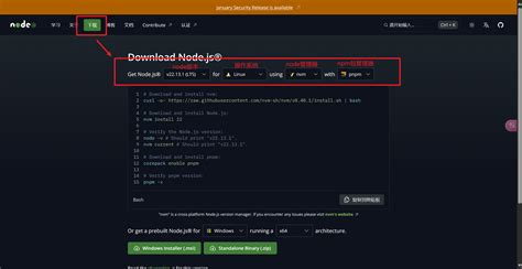 Javascript Fnm Nodejs Pnpm Nrm Nodejs Fnm Csdn