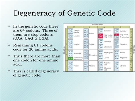 What Is The Genetic Code How Is The Genetic Code Similar To A Language