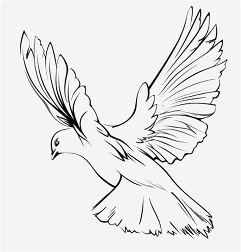 素描手绘和平鸽侧写高清素材 侧写和平鸽 和平鸽 手绘和平鸽 素描和平鸽 免抠png 设计图片 免费下载