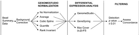 flowchart illustrating the different normalization procedures and