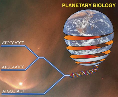 Funpoint What Are Different Branches Of Biology