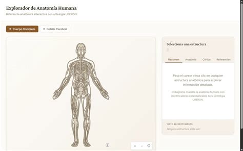 Github Jordinodejshuman Anatomy Explorer Explorador Interactivo De Anatomía Humana Con
