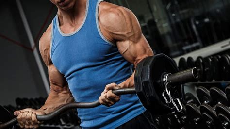 La Meilleure Solution Pour Prendre De La Masse Musculaire Selon La Science
