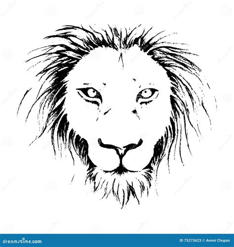 Lion Face Drawing Illustration In Black And White Line Art Stock