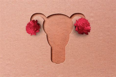 17 Intriguing Facts About Reproductive Hormones