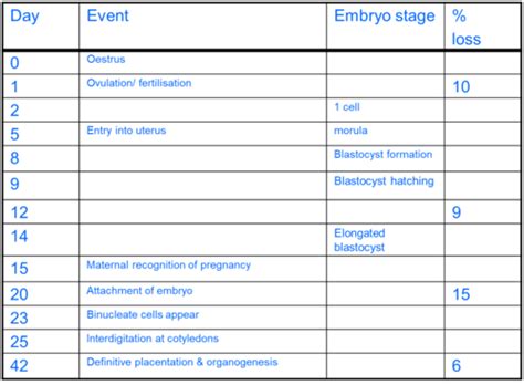 Problems In Bovine Pregnancy Flashcards Quizlet