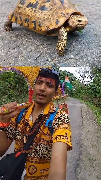 कावड़ यात्रा Day 2 कछुवा महाराजा कि जय हो Youtube