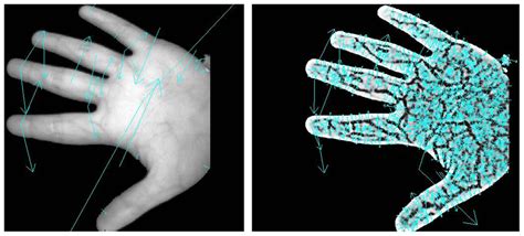 Feature Extraction Before Preprocessing Left And After Preprocessing Download Scientific