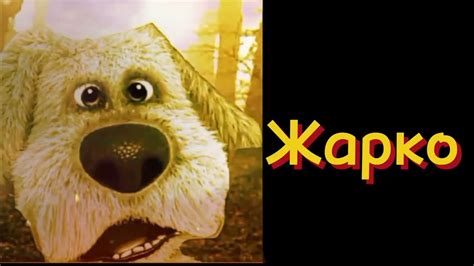 Какая погода за окном Youtube