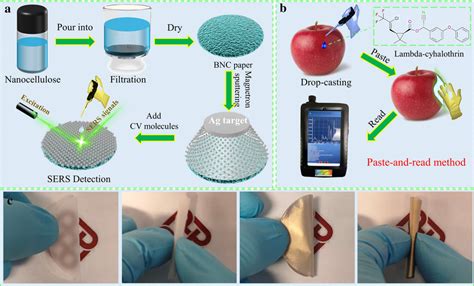 A Schematic Diagram Of Preparation Process Of Agnp Bnc Sers Substrates Download Scientific