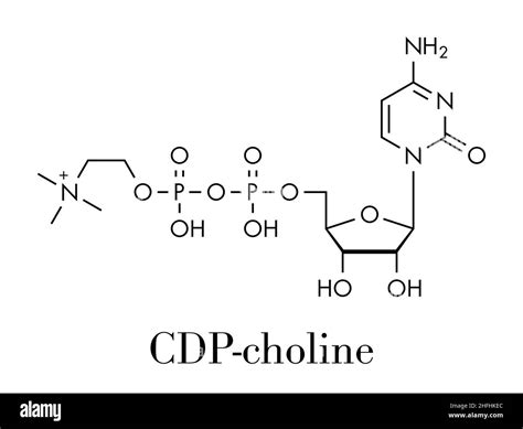 Citicoline Cdp Choline Molecule Skeletal Formula Stock Vector Image