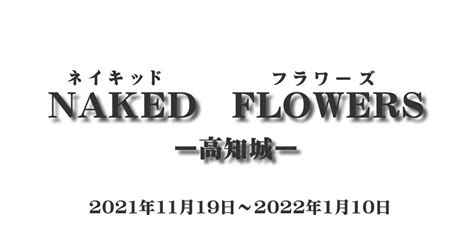 当プランはNAKED FLOWERS 高知城 チケット付の1泊朝食付プランです