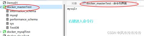 docker实现mysql 主从复制 阿里云开发者社区