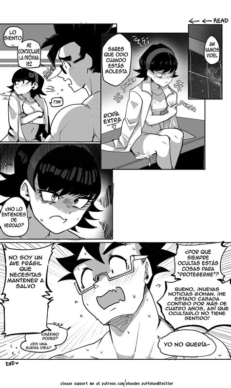 Puffphox Beast Gohan X Videl