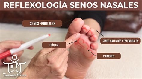 REFLEXOLOGÍA PODAL del SISTEMA RESPIRATORIO Puntos para ELIMINAR la