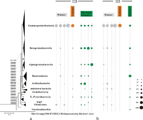 A The Phylogenetic Tree Constructed With Maximum Parsimony And Download Scientific Diagram