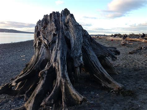 Mukilteo Daily Photo Portal Of The Pacific Nw The Clinton Ferry