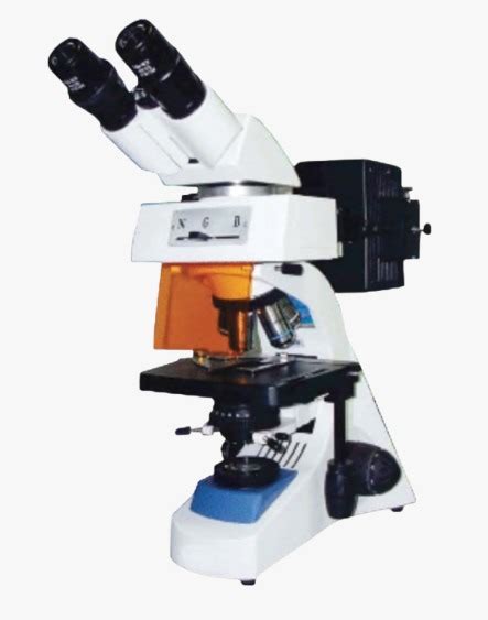 Epi Fluorescence Microscope Efn Series Novus Technicia
