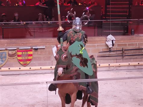 The Real Stag Knight Medieval Times Rraidshadowlegends