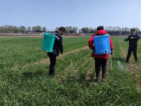 预防“倒春寒” 助力农业生产高平市人民政府网