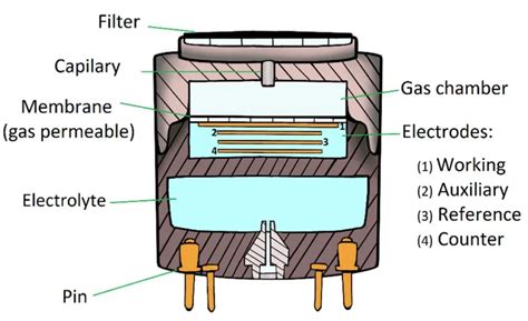 Using Electrochemical Sensors In Gas Detection Coda Sensors