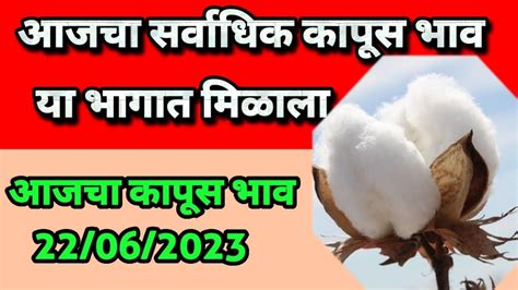 🛑पहा आपल्या भागात सद्या काय चालू आहे कापसाला भाव Today Kapus Bhav