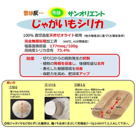 楽天市場 50個 じゃがいもシリカ 500g 土壌改良材 天然高純度珪酸塩白土 切口の腐敗の抑制 培養土 サングリーンオリエント タ種