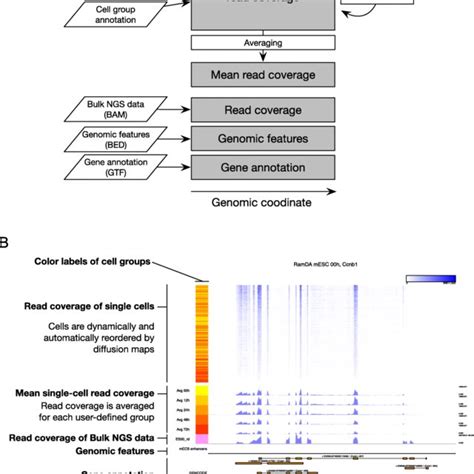 Example Of Quality Control Of Scrna Seq Methods Visualization Of Read
