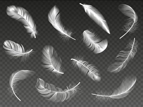 白いリアルな羽。ふわふわの天使は、羽、鳥の羽、白鳥または鳩の翼羽イラストアイコンセットをくるくるしました。現実的な白い白鳥とふわふわ、羽落ち