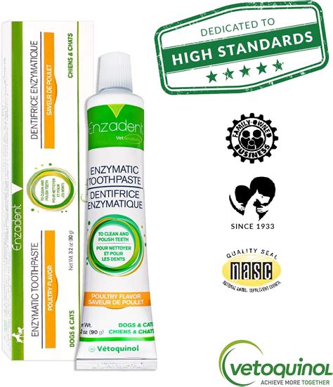 5 Best Cat Toothpaste Tips For Choosing The Right Dental Care