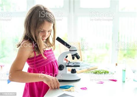 테스트 튜브와 현미경으로 작업 예쁜 금발의 어린 소녀 학교 실험실이나 집에서 과학을 배우는 아이 아이를 찾고 테이블에 현미경으로 실험을합니다 Stem 주제에 대한 스톡 사진