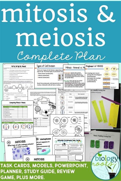 Cell Division Mitosis And Meiosis Bundle Meiosis Mitosis Biology Curriculum