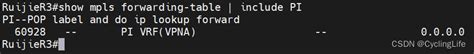 【锐捷路由】域内mpls Vpn配置锐捷mpls Csdn博客