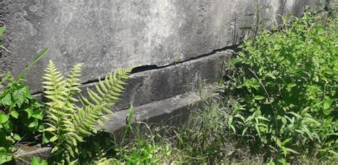 Vazamento de caixa dágua do DAE preocupa moradores Jornal A Plateia