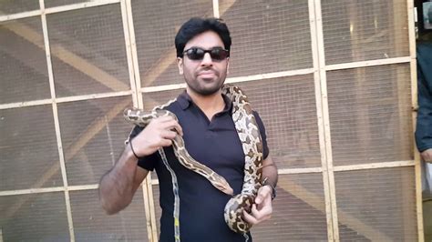 Elixir Zoo Beautiful Python Youtube