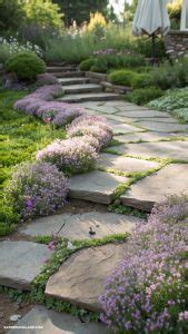 10 Cool Creeping Thyme Ground Cover Ideas For Your Yard