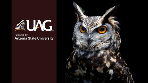 Generalidades De Shock Paola Peñuelas Gutiérrez Udocz