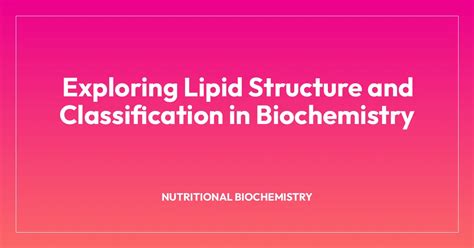 Exploring Lipid Structure And Classification In Biochemistry