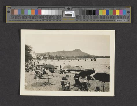 This Is What Waikiki Looked Like 100 Years Ago