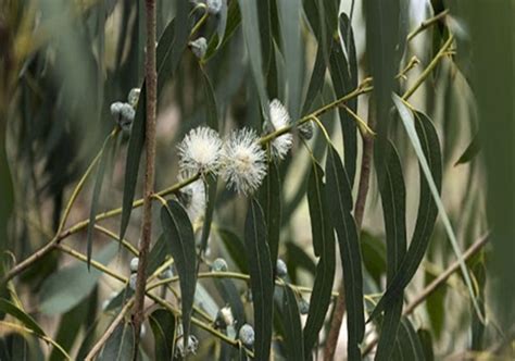 از موفقیت تا ایده خلاق در کسب و کار جدید با کار آفرین لارستانی