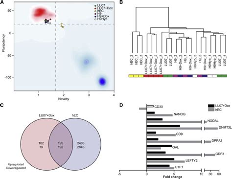 Differentiation Defective Human Induced Pluripotent Stem Cells Reveal
