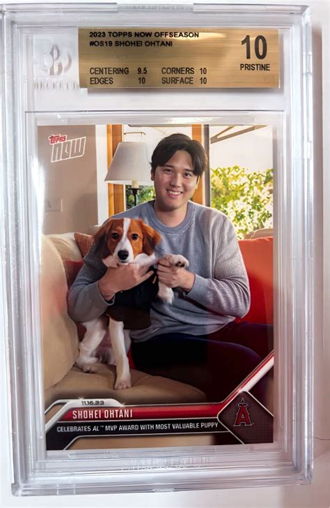 Yahooオークション 【psa10同等】大谷翔平 エンゼルス ユニフォーム