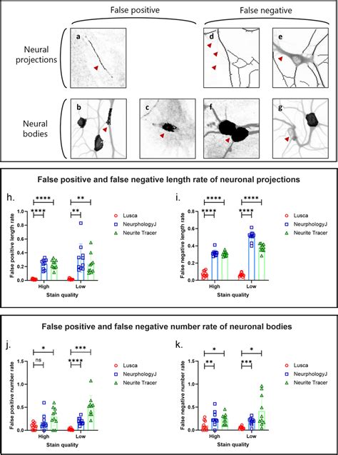 False Positive And Negative Operational Classifications And Download Scientific Diagram