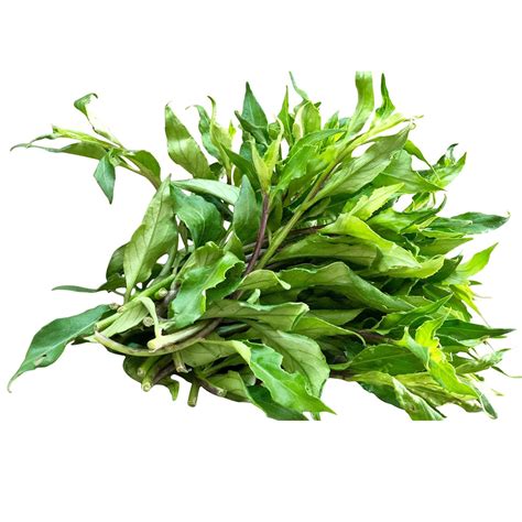 Review 4 Loại Nước Hoa Hồng Rau Má được Yêu Thích Năm 2024