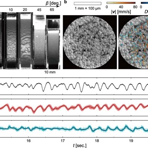 Texture Formation And Motion Of Bubbles A Snapshots Of The