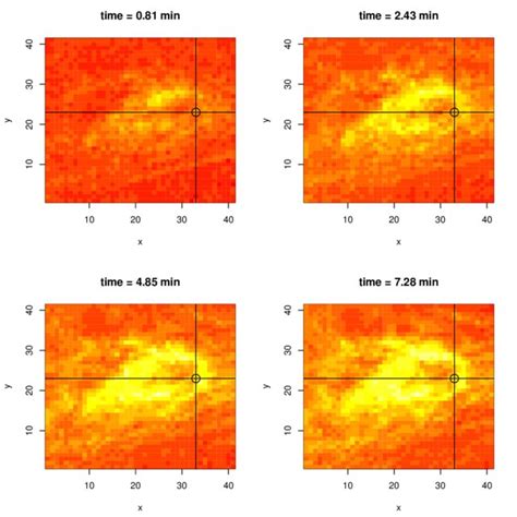 Color Coded Concentration Curves C T T At 41 41 Voxel For Different