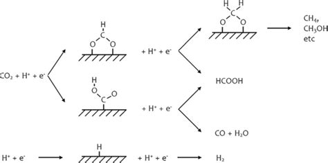 Reaction Pathways For The Electroreduction Of Co2 To Different Products