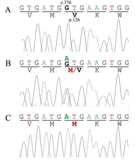 Novel Mutation In The Feline Npc2 Gene In Cats With Niemann Pick Disease Pmc