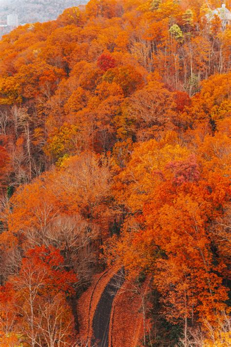 10 Smoky Mountains Attractions You Need To Experience The Honeyed